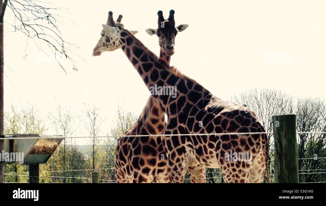 Folly farm hi-res stock photography and images - Alamy