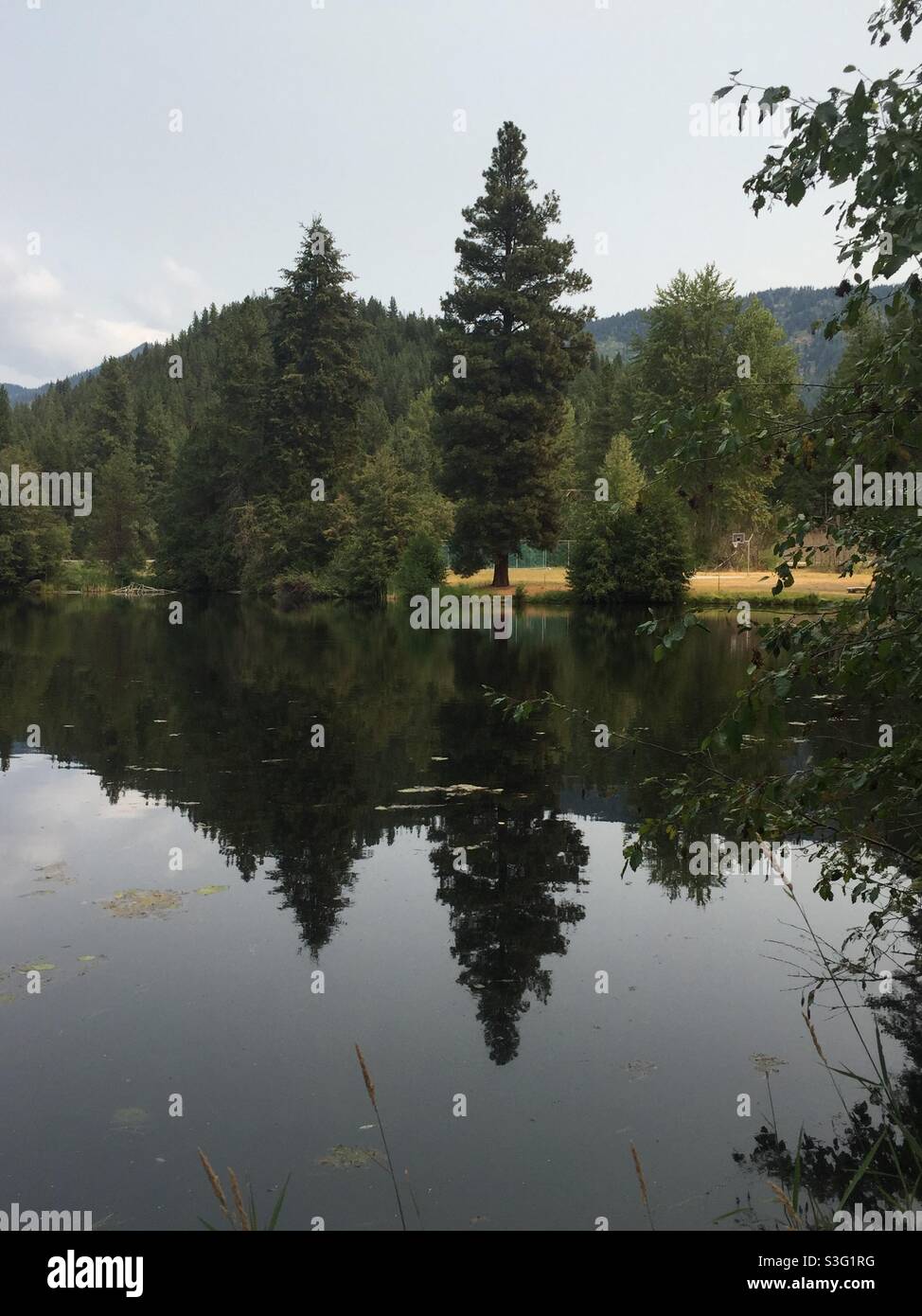 Evergreen trees lake hi-res stock photography and images - Alamy