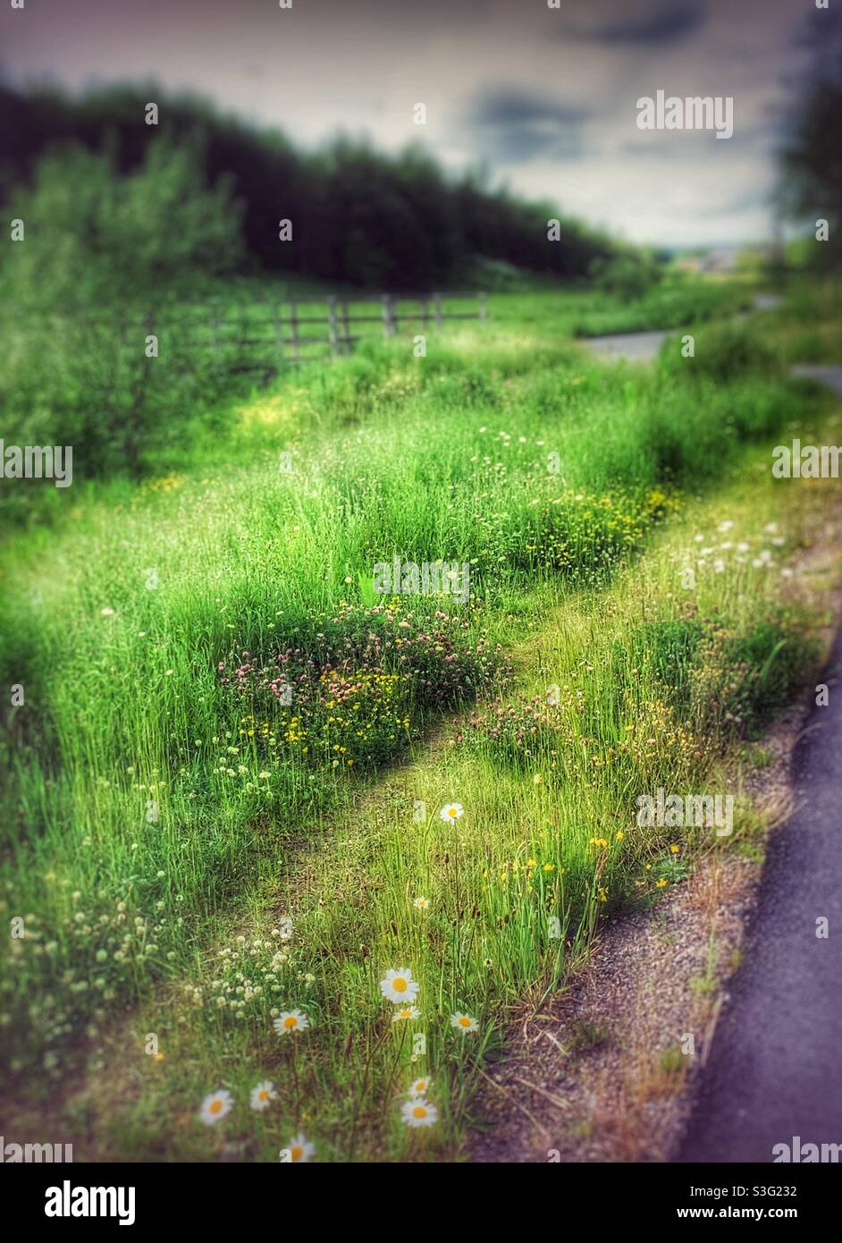 Gwent wildlife hi-res stock photography and images - Alamy