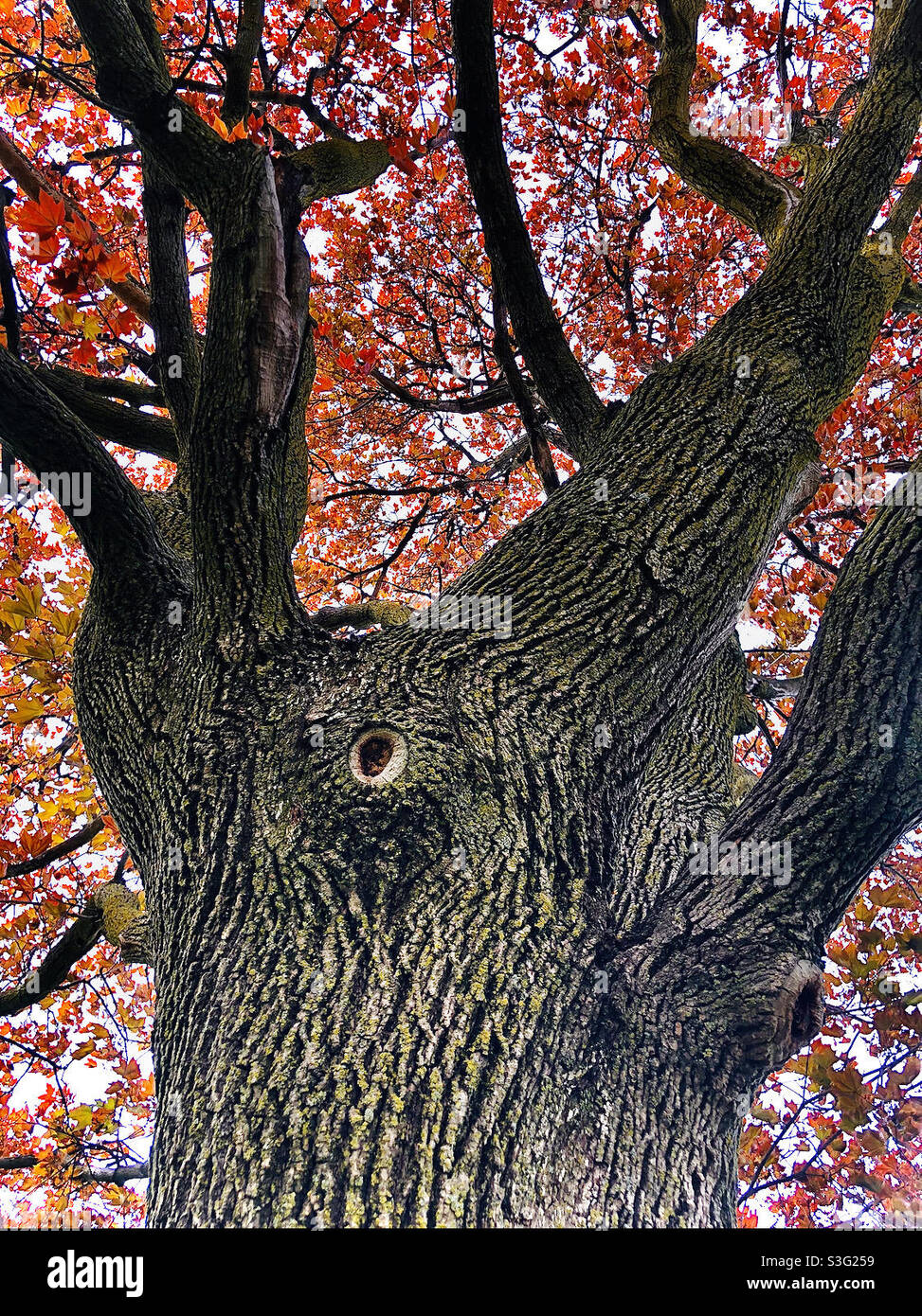 The fall of richmond hi-res stock photography and images - Alamy