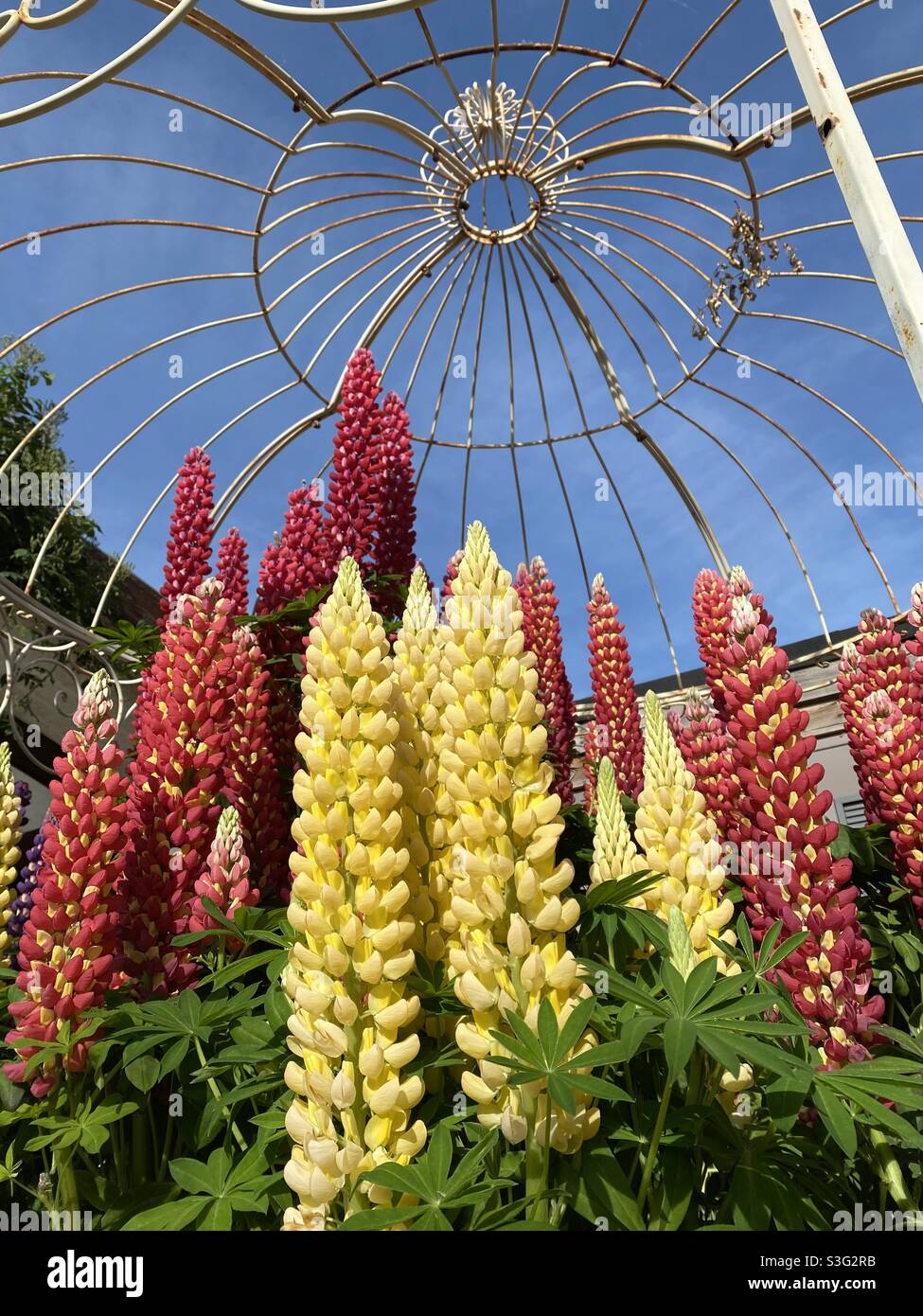 Tall spires hi-res stock photography and images - Alamy