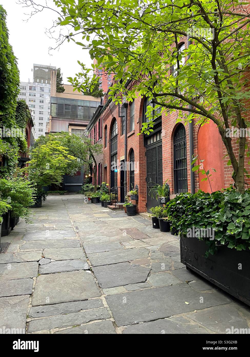 Sniffen court hi-res stock photography and images - Alamy