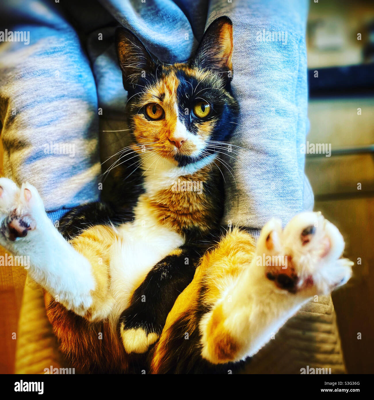 Just Chilling High Resolution Stock Photography and Images - Alamy