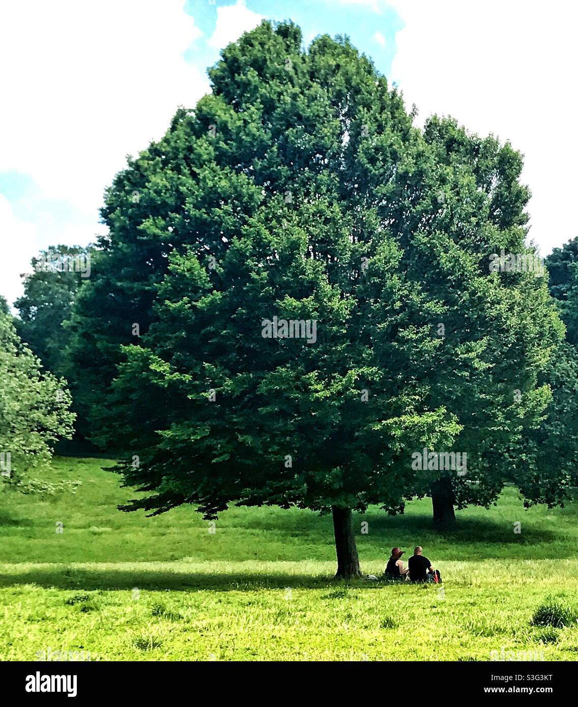 You and me, underneath a tree Stock Photo - Alamy