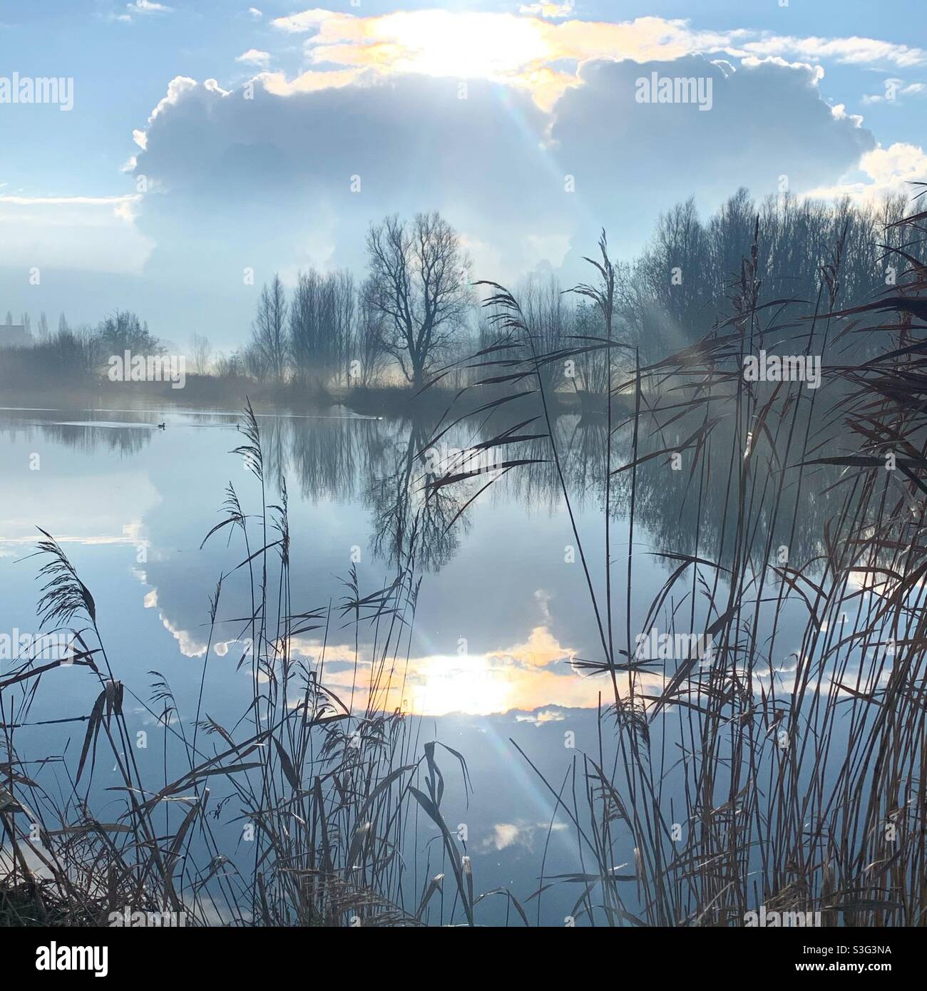 Reflection of the sun in water hi-res stock photography and images - Alamy