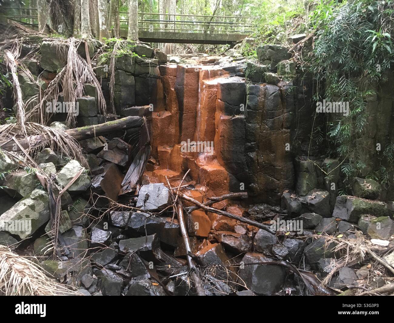 Rainforest rocks hi-res stock photography and images - Alamy