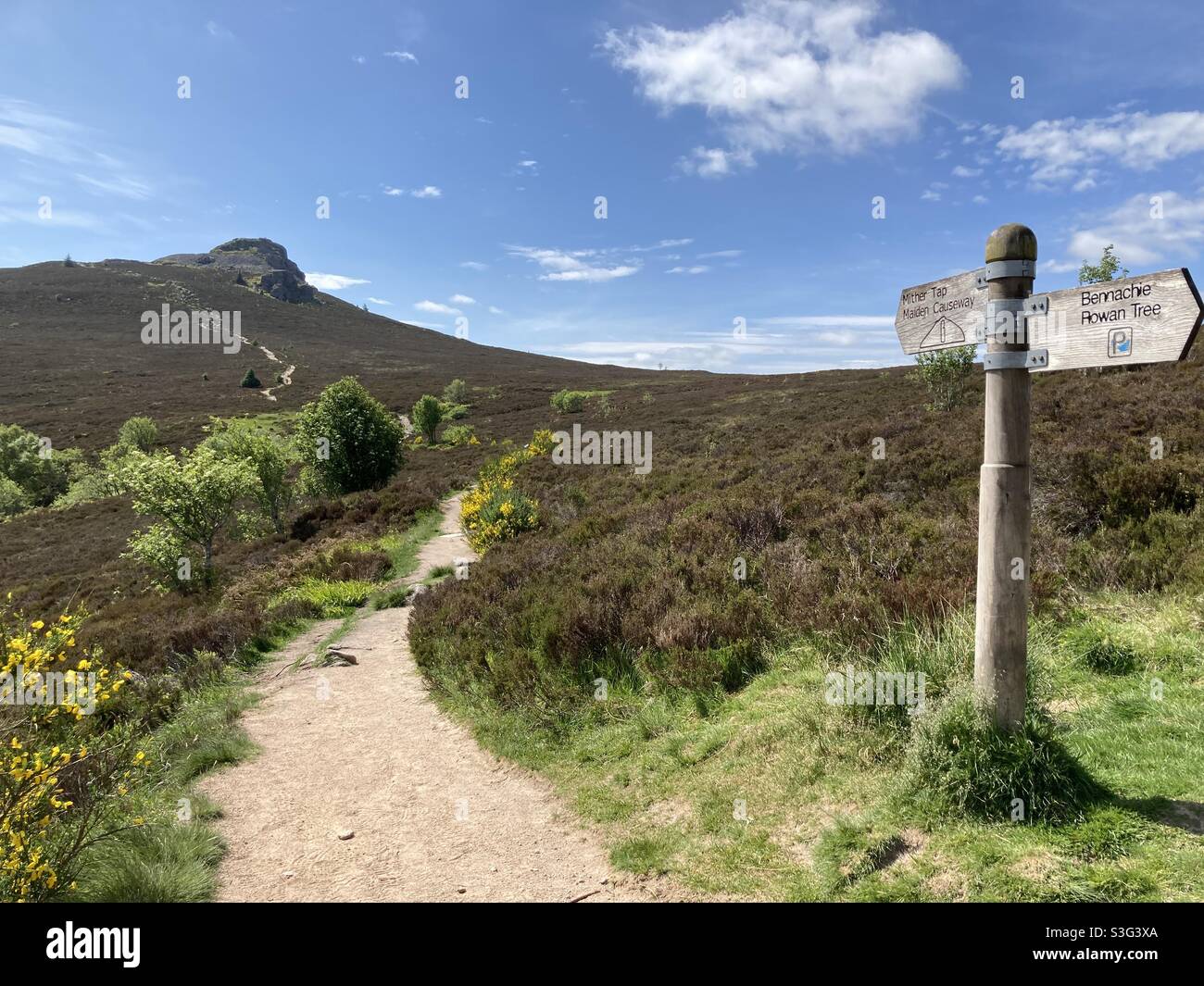 Bennachie hi-res stock photography and images - Alamy