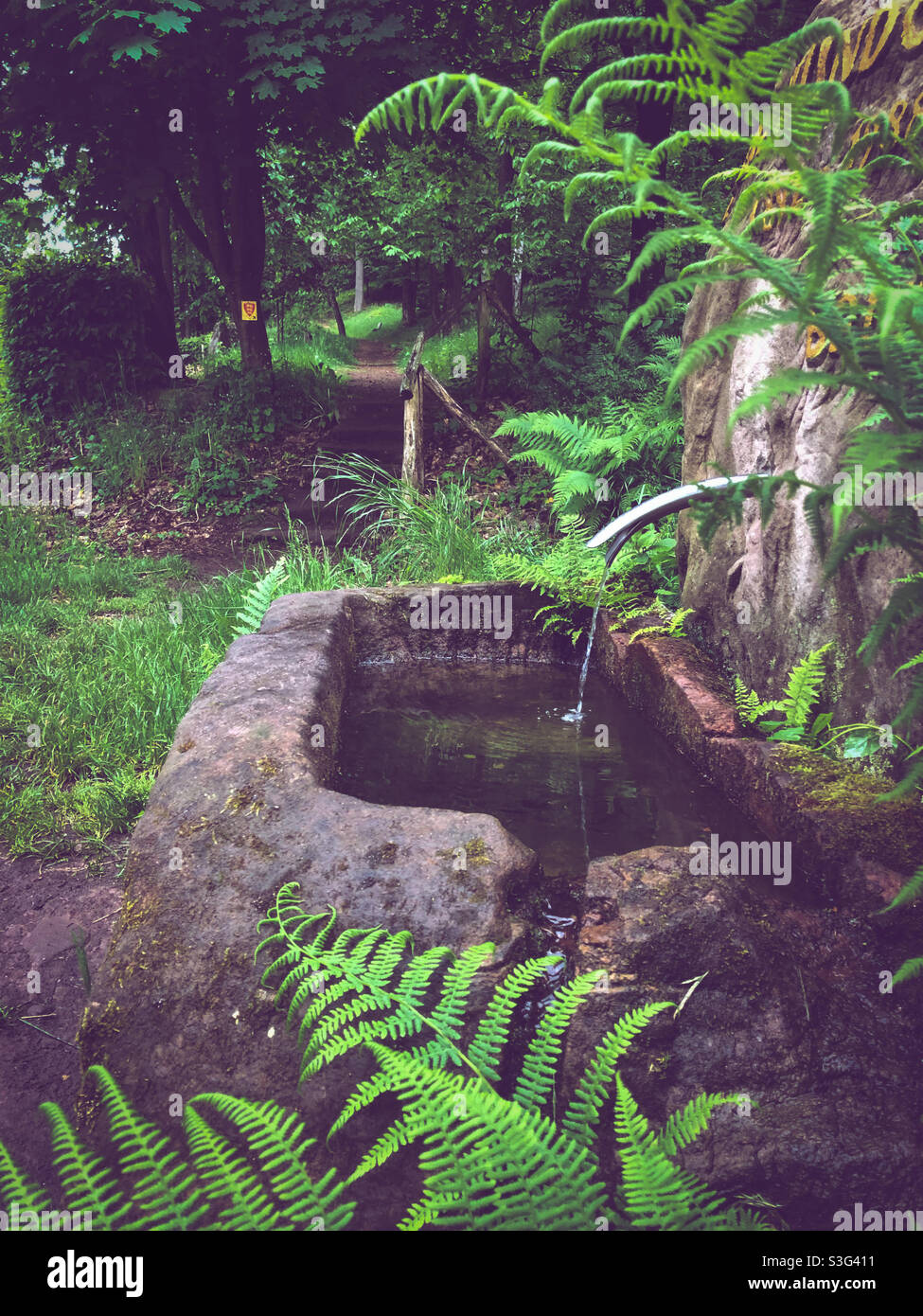Water source in nature hi-res stock photography and images - Alamy