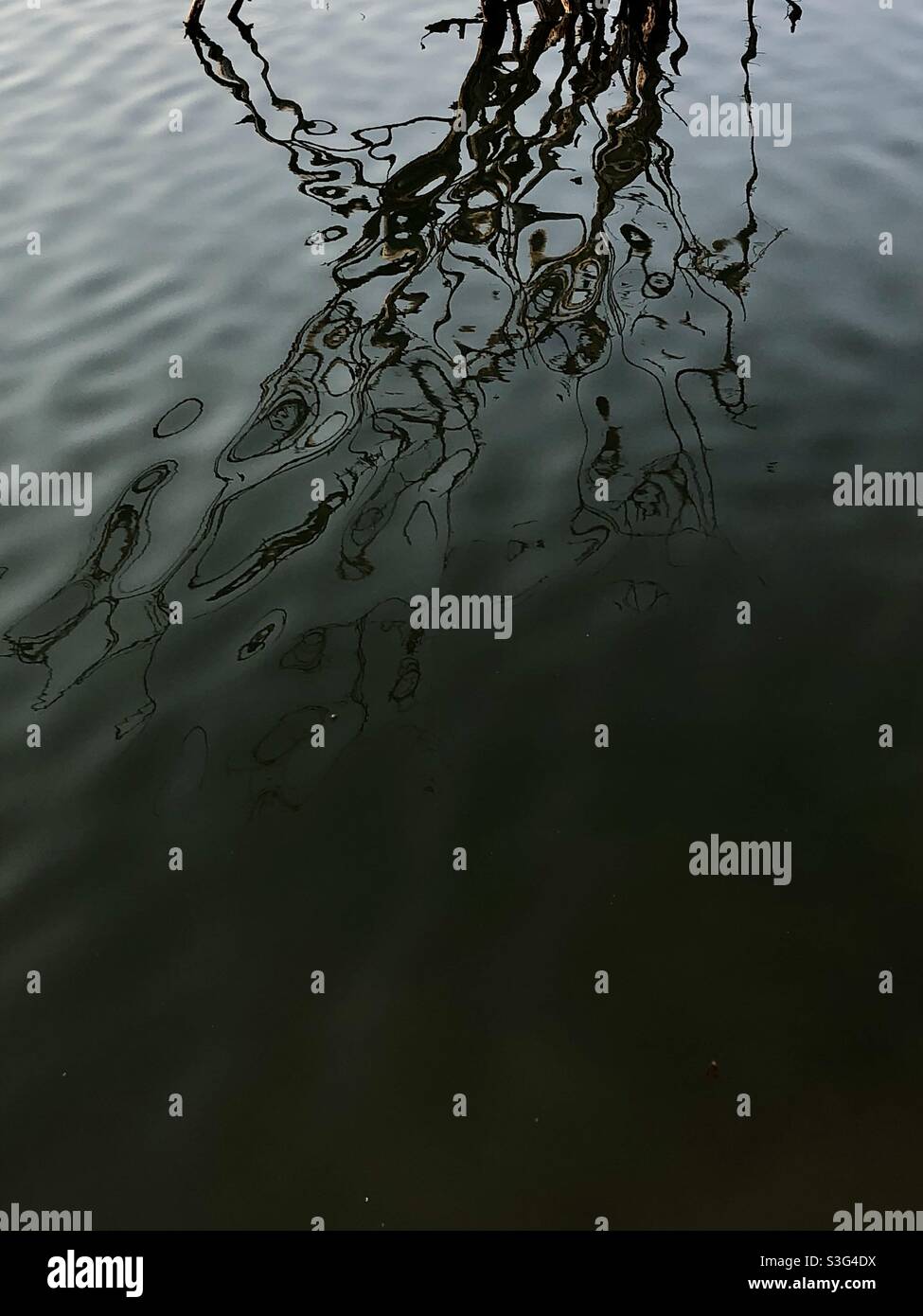 Water bodies hi-res stock photography and images - Alamy