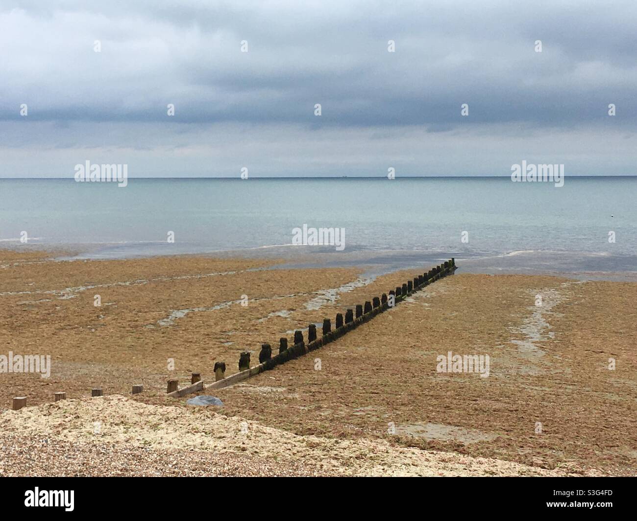 Groyne on shingle beach Stock Photo - Alamy
