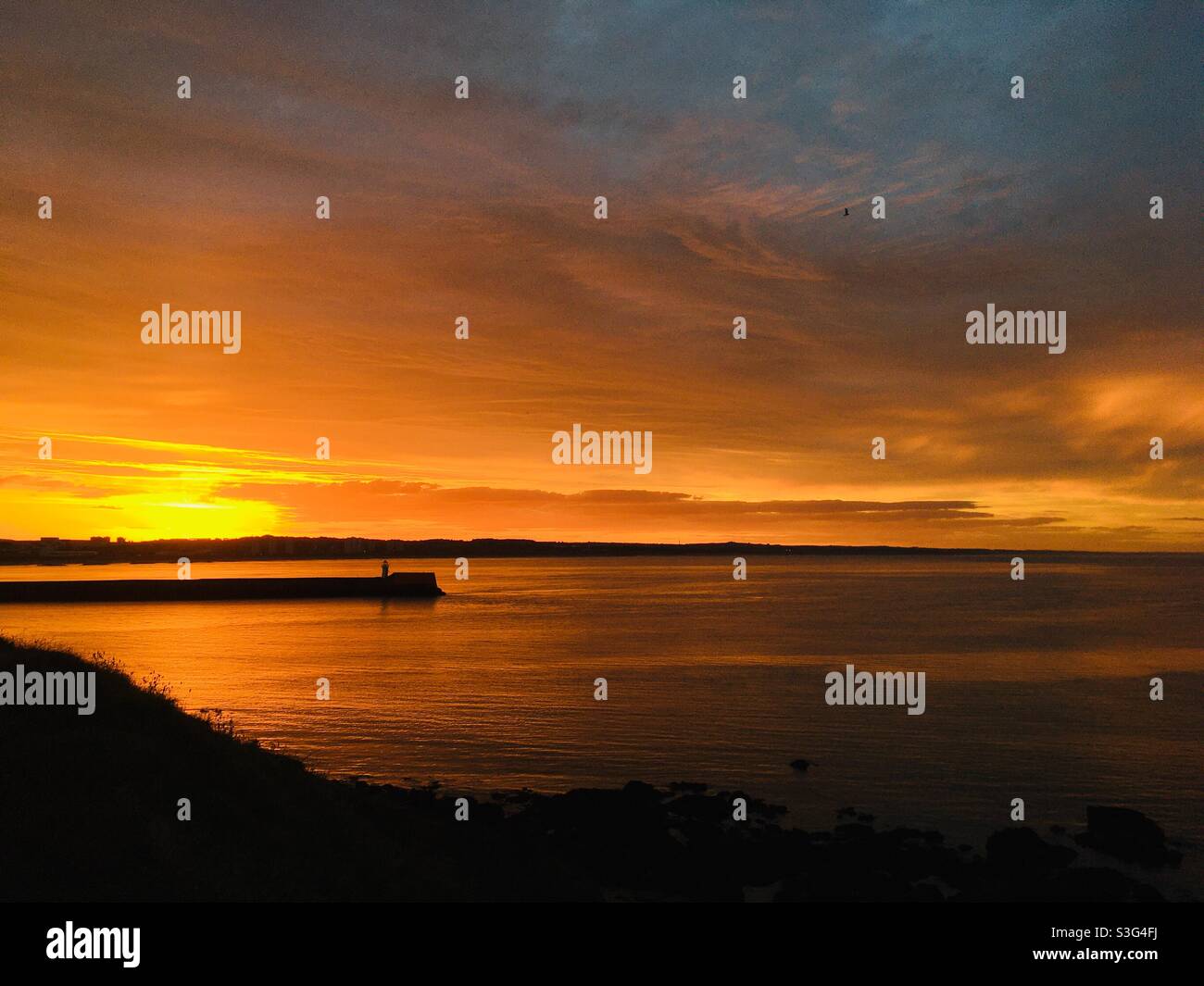 Torry aberdeen hi-res stock photography and images - Alamy