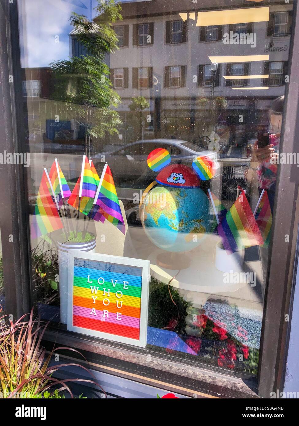 LGBTQ flags and signs in a store window Stock Photo - Alamy