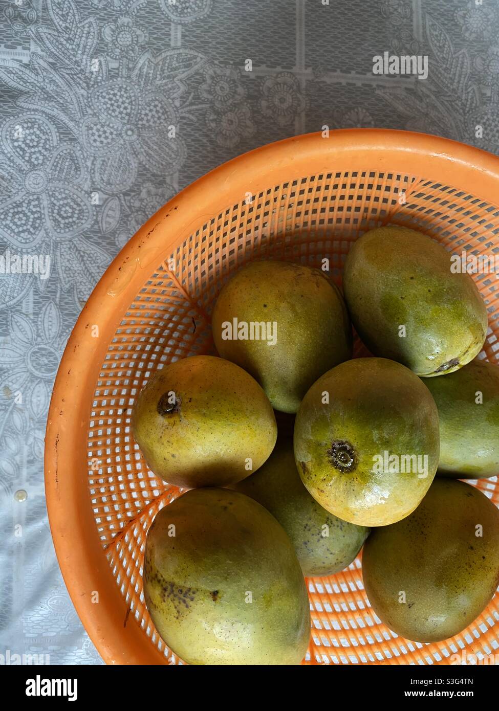 Fresh mangoes in a container Stock Photo - Alamy