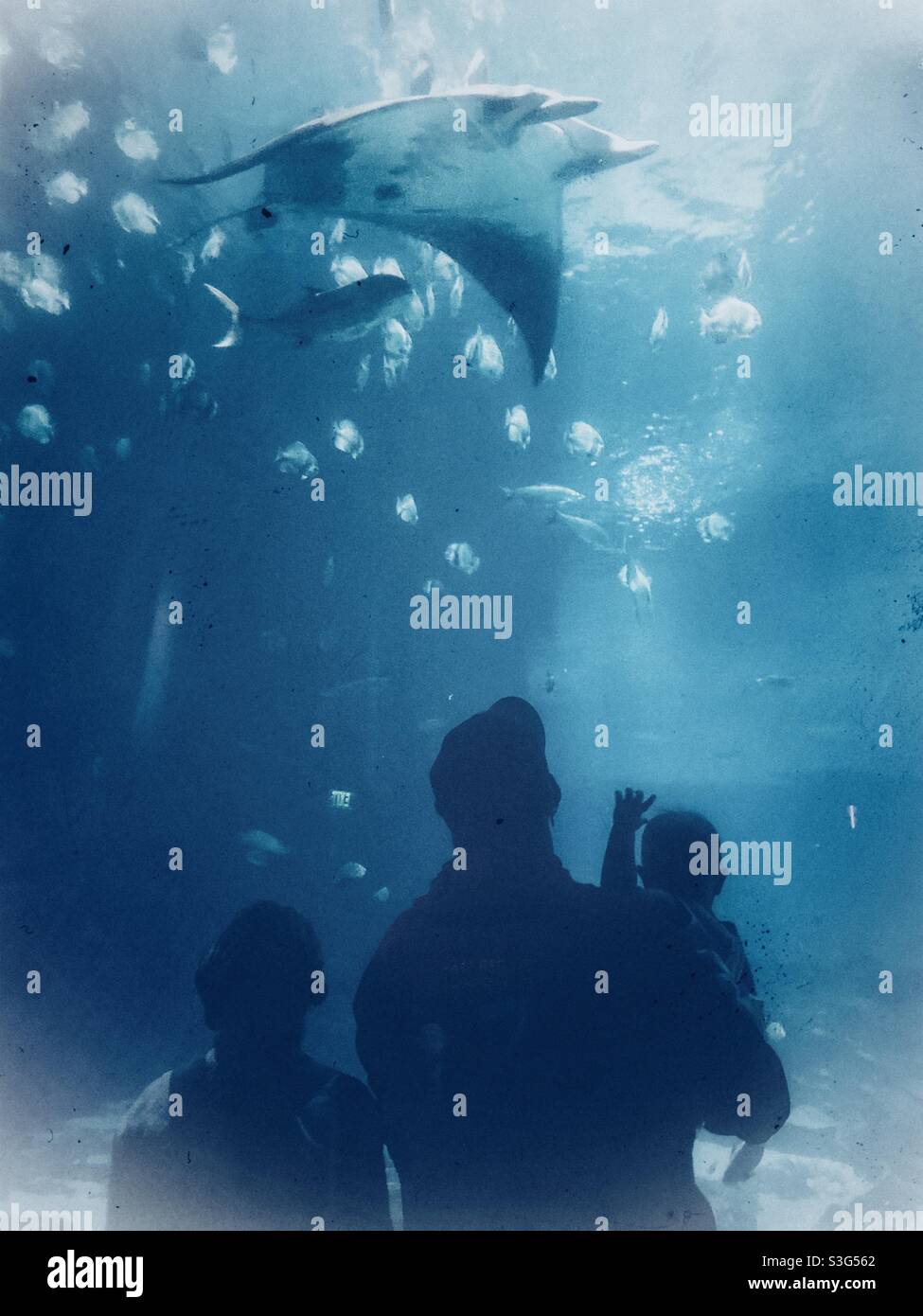 Fathers with daughters hi-res stock photography and images - Alamy