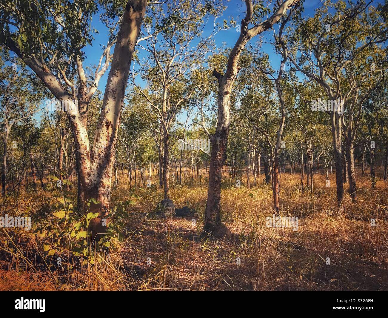 Kakadu national park northern territory hi-res stock photography and ...
