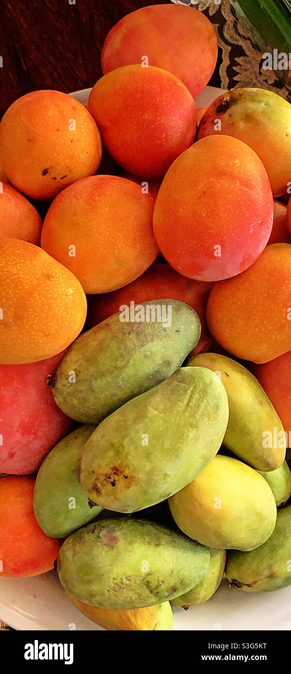 Types of mango hi-res stock photography and images - Alamy