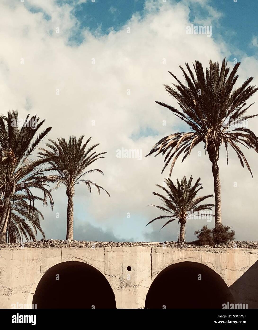 Palm arches architecture hi-res stock photography and images - Alamy