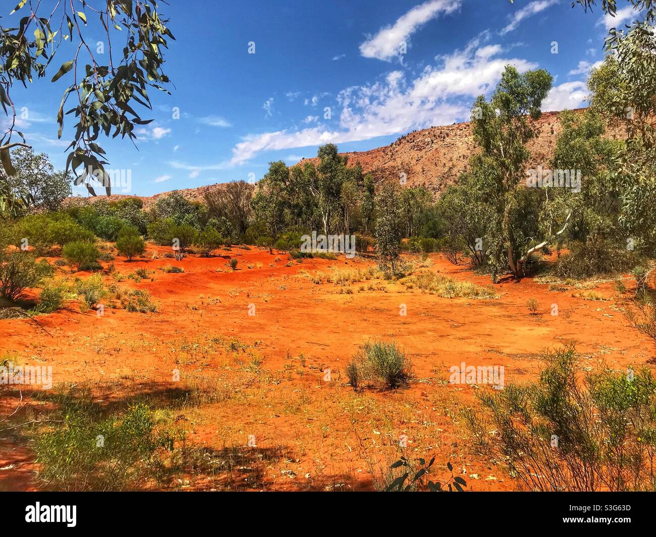 Desert scenery near Alice Springs, Northern Territory, Australia Stock ...