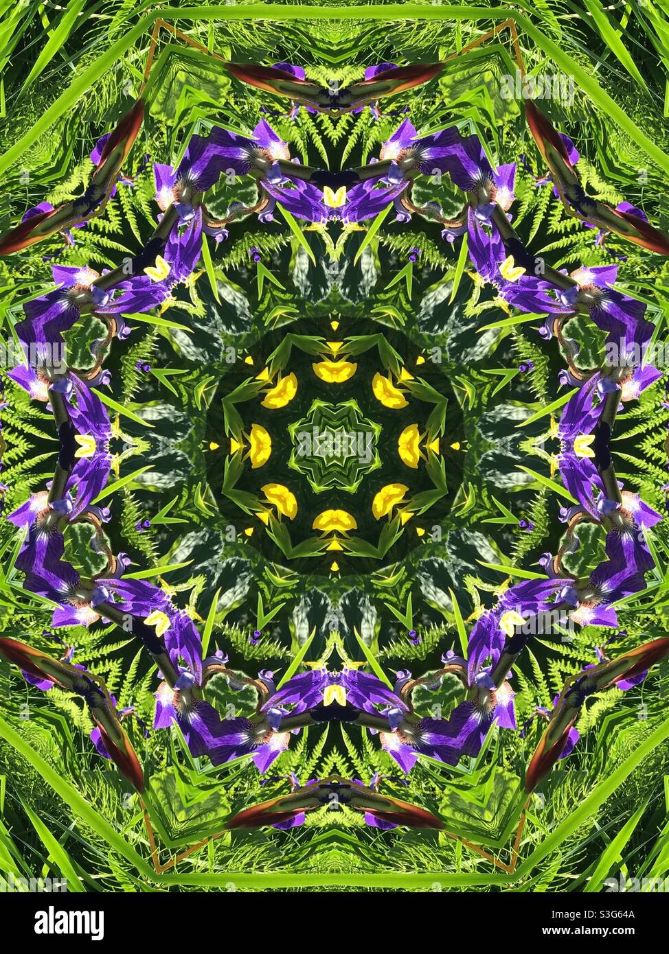 Kaleidoscope floral hi-res stock photography and images - Alamy