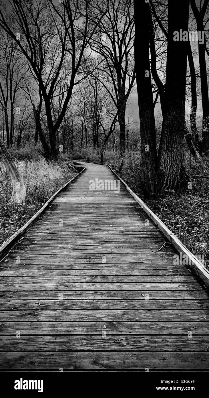 Side cut metropark hi-res stock photography and images - Alamy