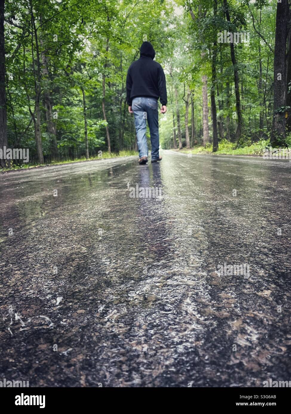 Stroll in the woods hi-res stock photography and images - Alamy