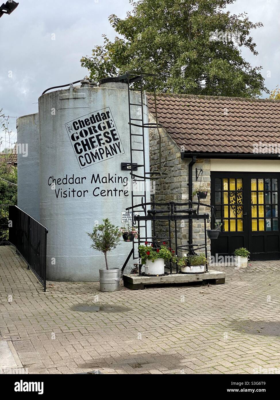 Tourist cheese making hi-res stock photography and images - Alamy