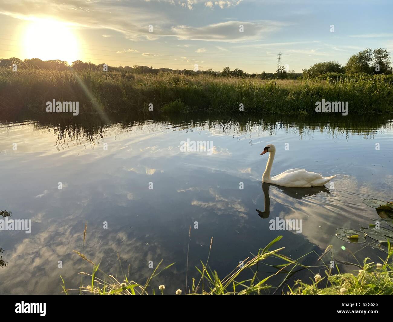 Wildlife on river hi-res stock photography and images - Alamy
