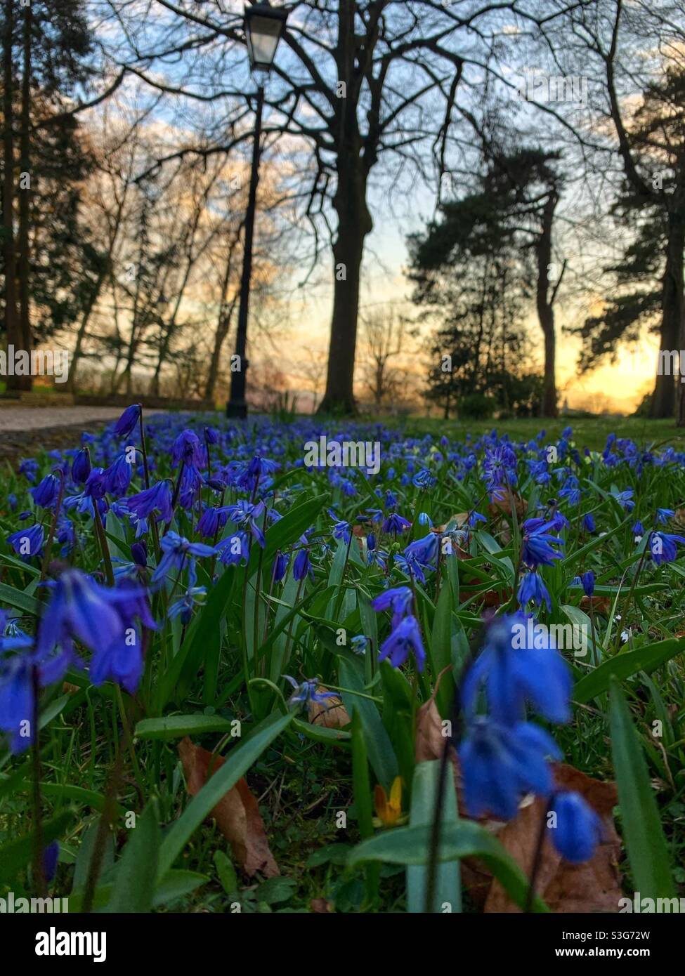 Quarwood hi-res stock photography and images - Alamy