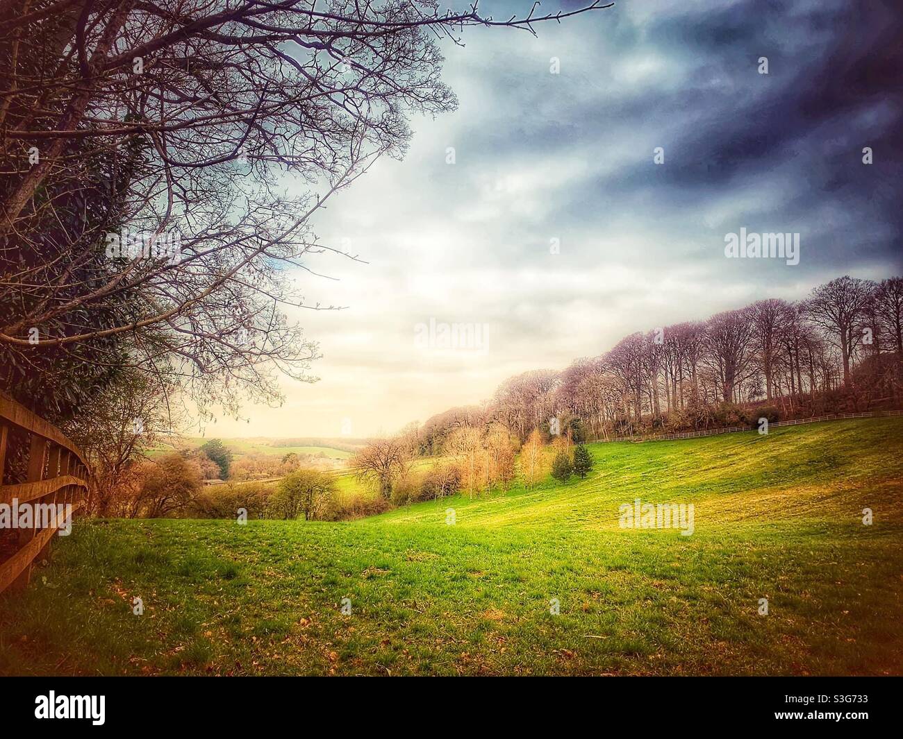 Within the grounds of Quarwood, Stow on the Wold, Cotswolds, England ...