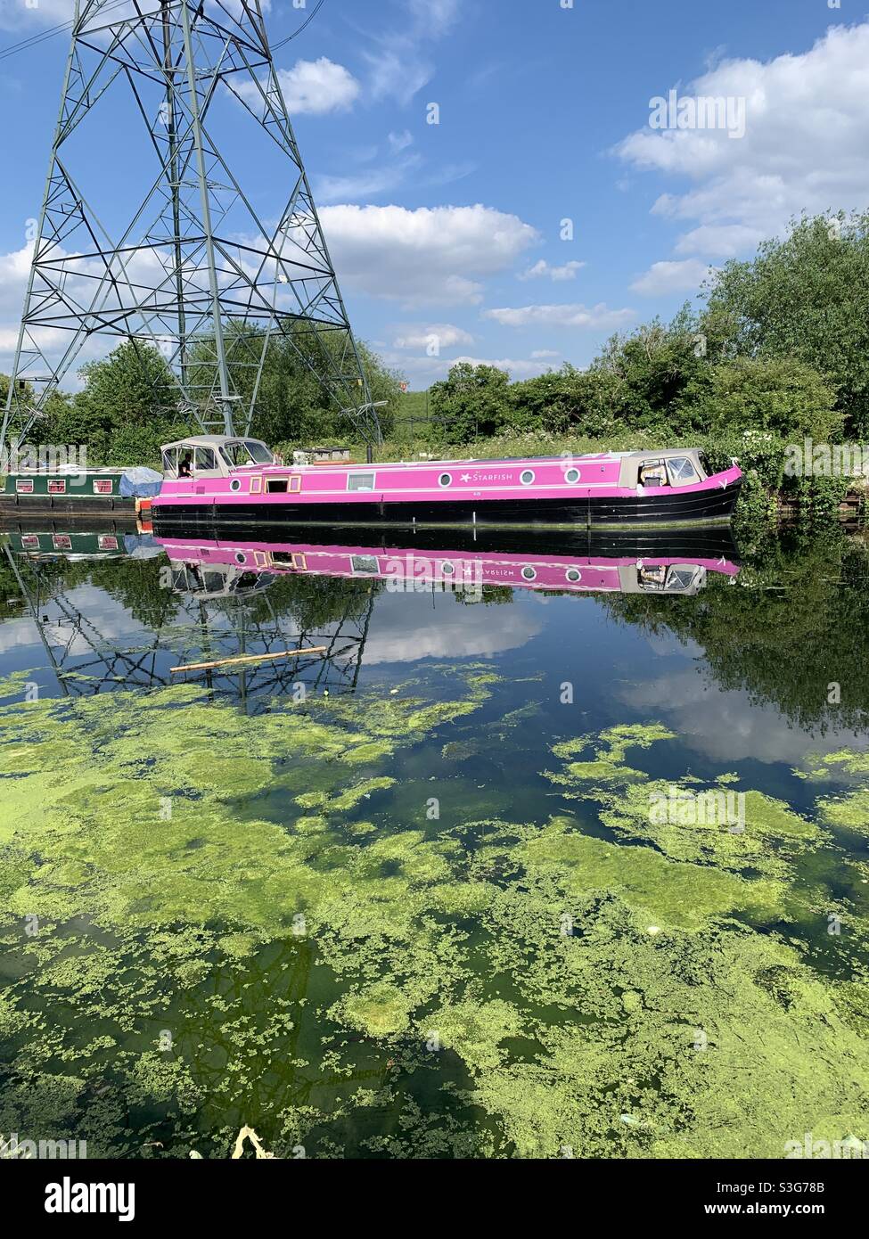 Algae on river with pink boat and pylon Stock Photo - Alamy