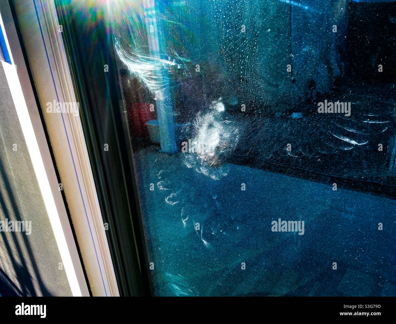 Ghost bird hi-res stock photography and images - Alamy