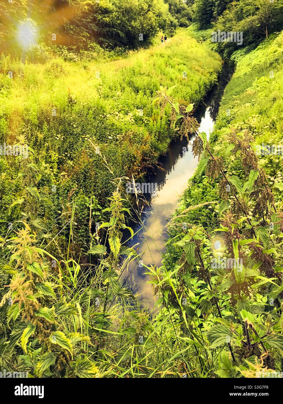 Low sunshine over a babbling brook Stock Photo - Alamy
