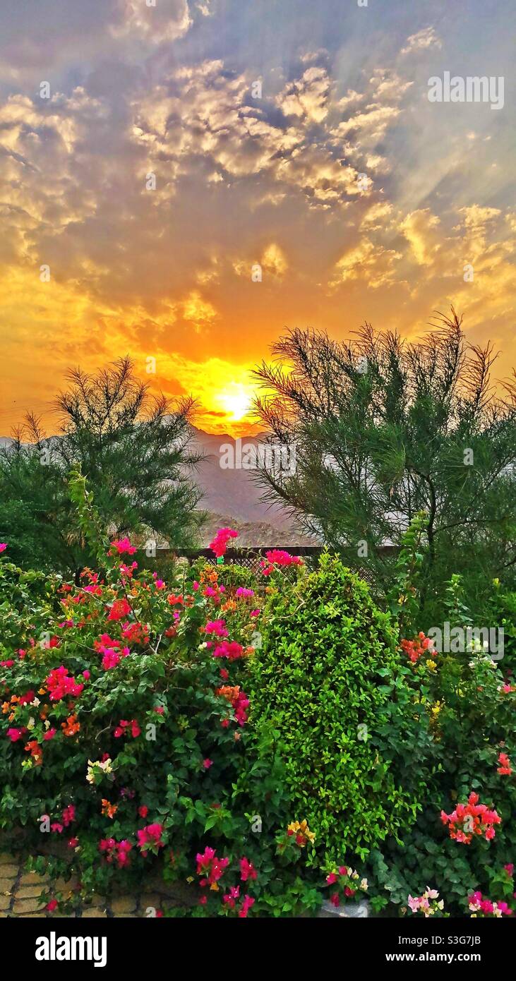 Rafisah hi-res stock photography and images - Alamy