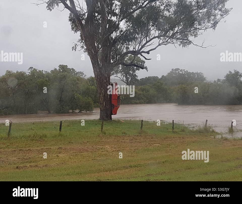 Car in tree flooding hi-res stock photography and images - Alamy