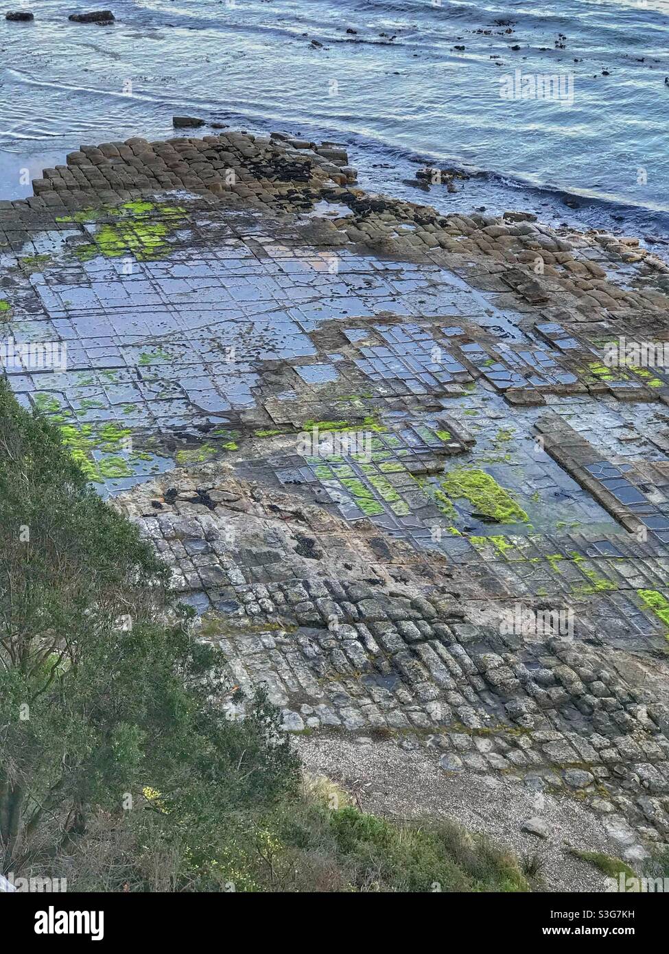 Tessellated Pavement rock formation, Tasmania, Australia Stock Photo ...