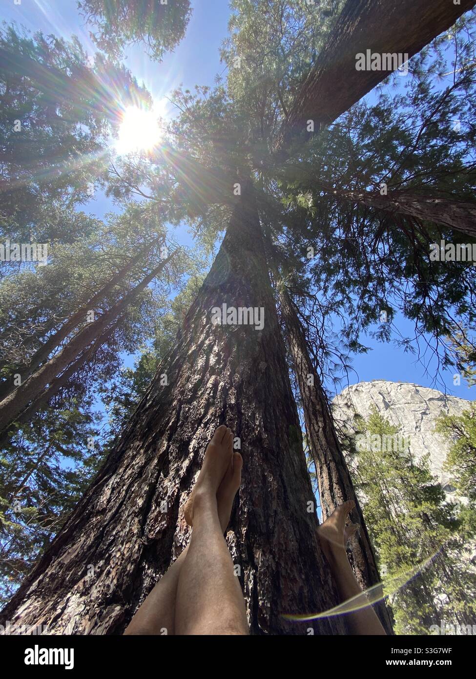 Relaxing under tree hiker hi-res stock photography and images - Alamy