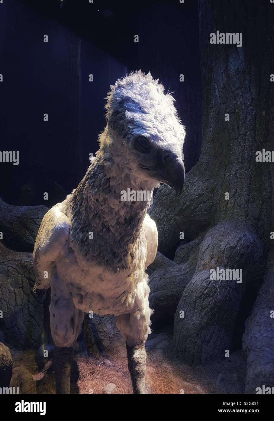 Buckbeak the hippogriff hi-res stock photography and images - Alamy