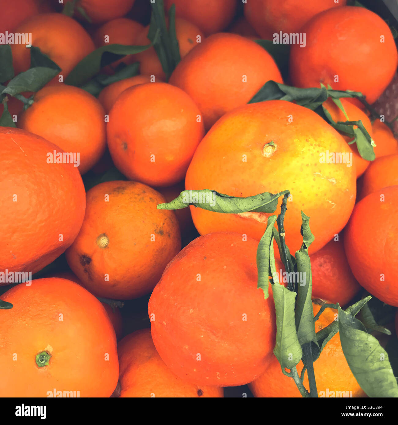 Mallorca oranges hi-res stock photography and images - Alamy
