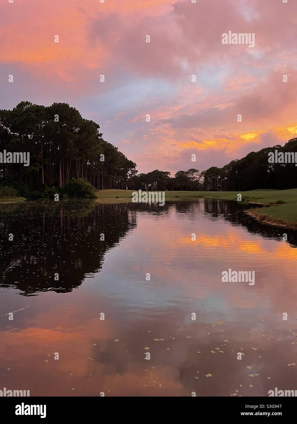 Colorful sunset skies reflecting onto pond water Stock Photo - Alamy