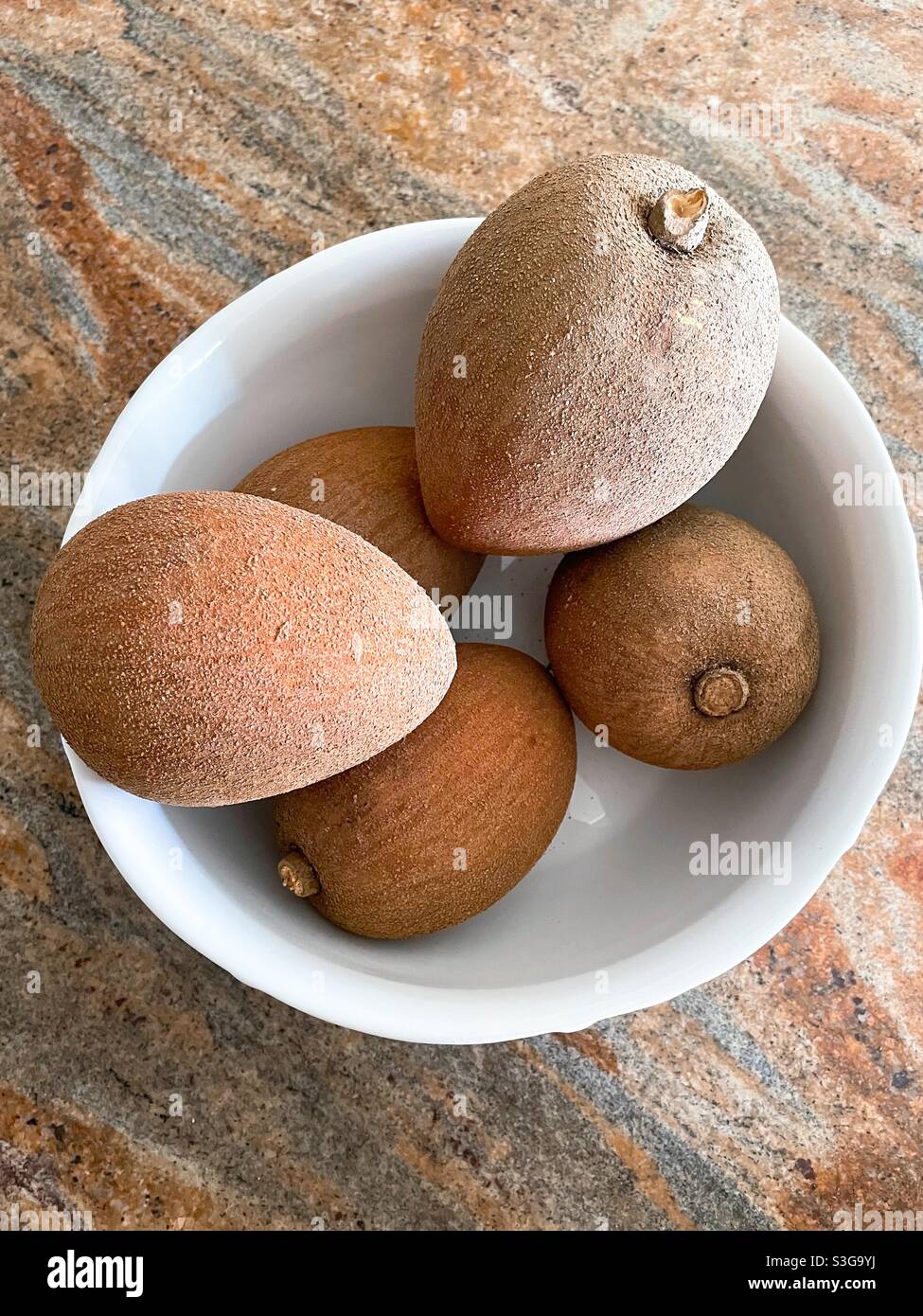 Mamey Fruit