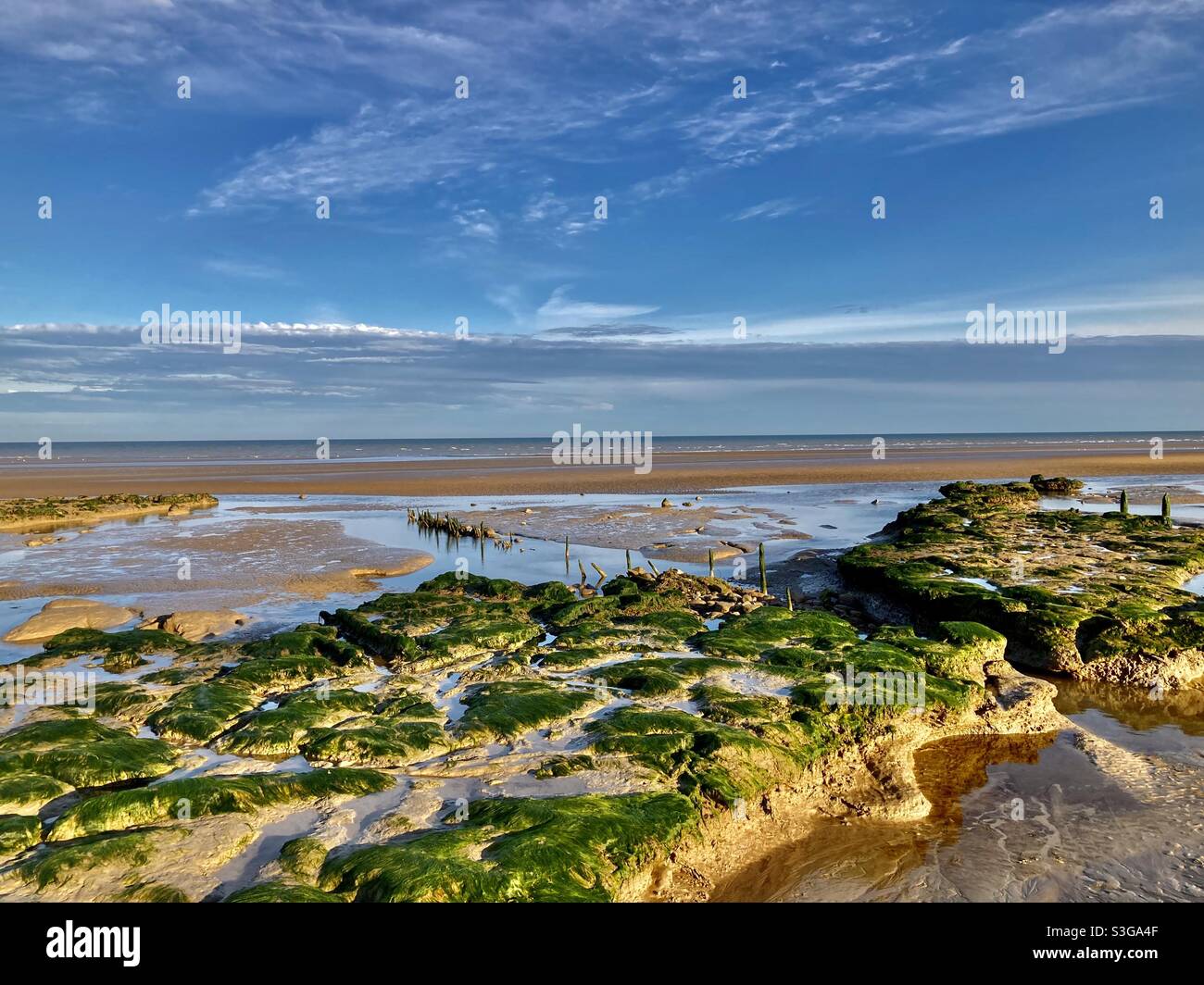 Pett east sussex hi-res stock photography and images - Alamy