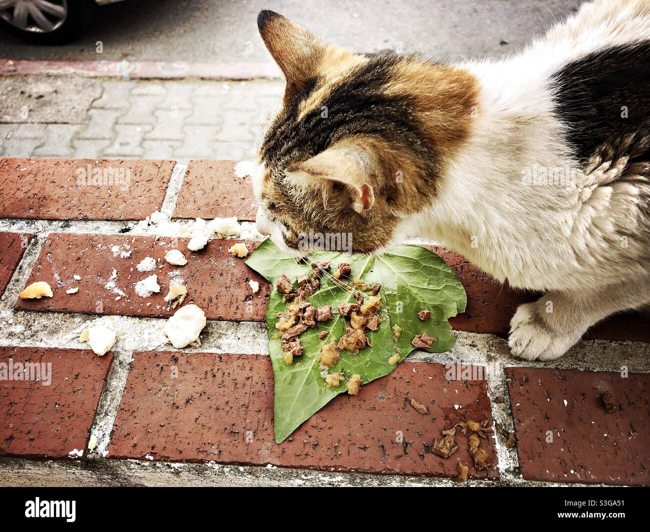 Feeding the homeless hi-res stock photography and images - Alamy
