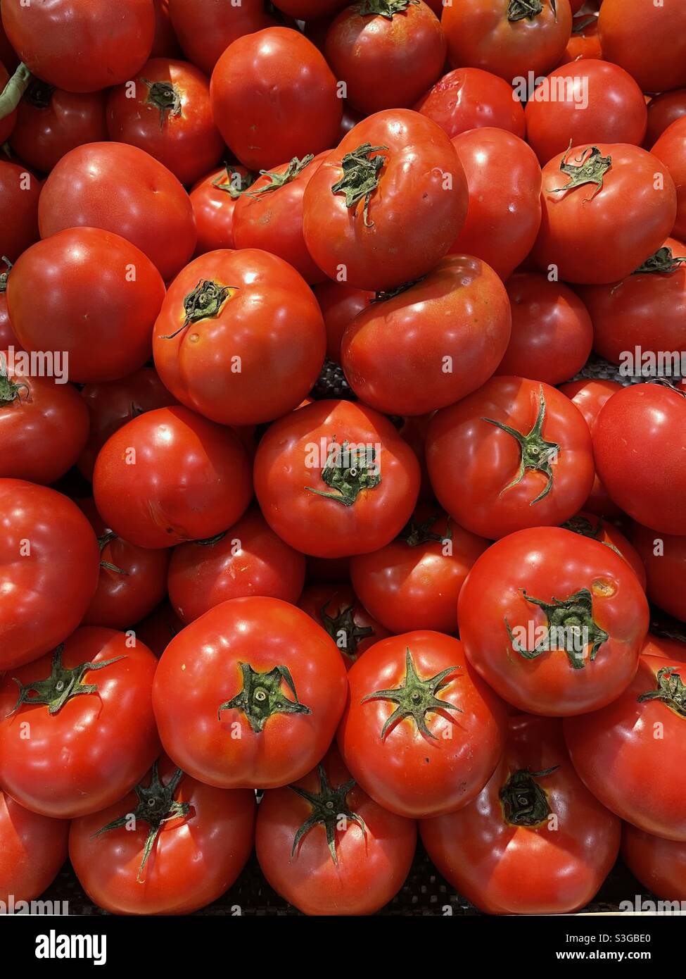 Big ripe hi-res stock photography and images - Alamy