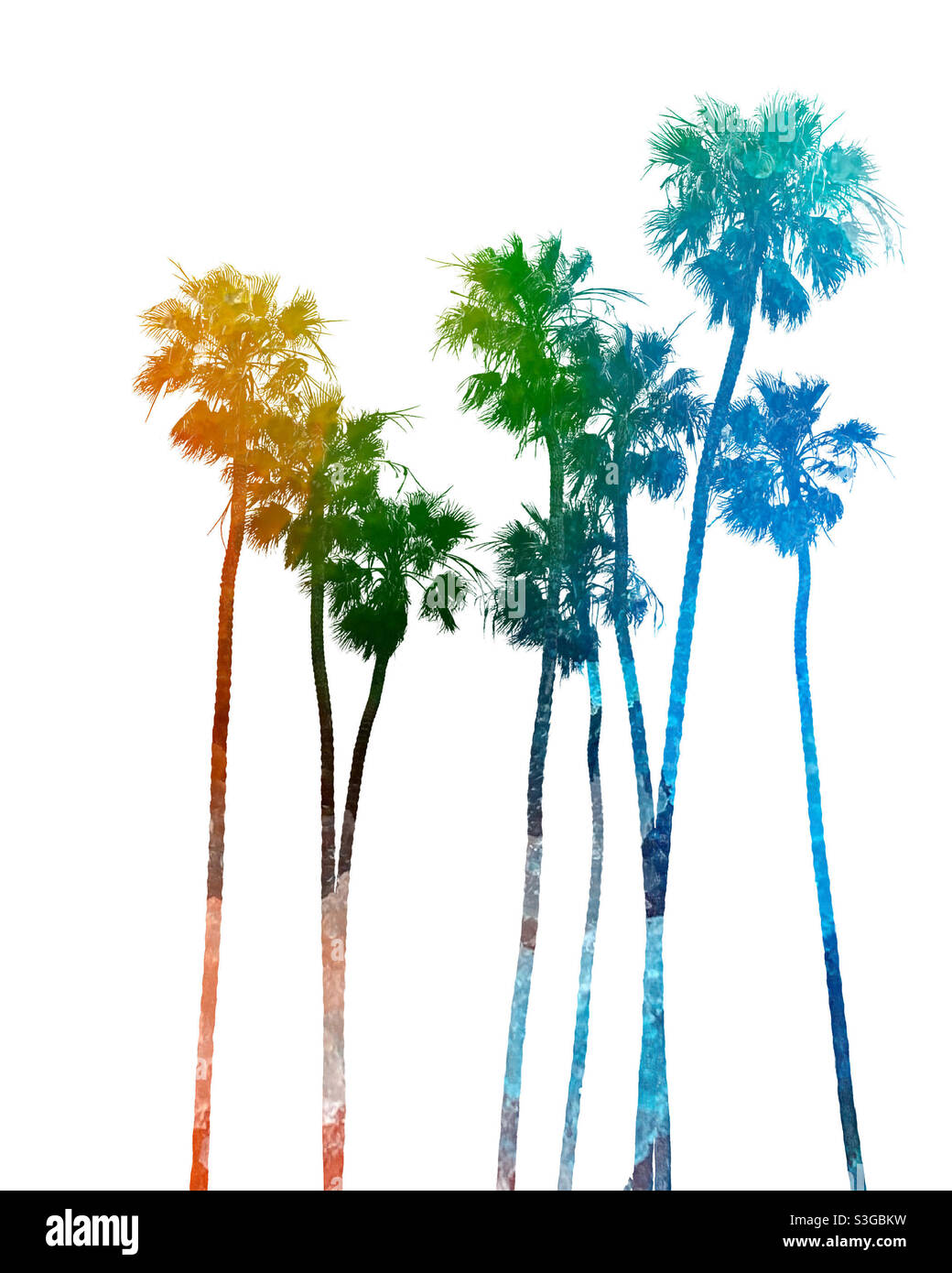 Rainbow palm trees in white background Stock Photo - Alamy