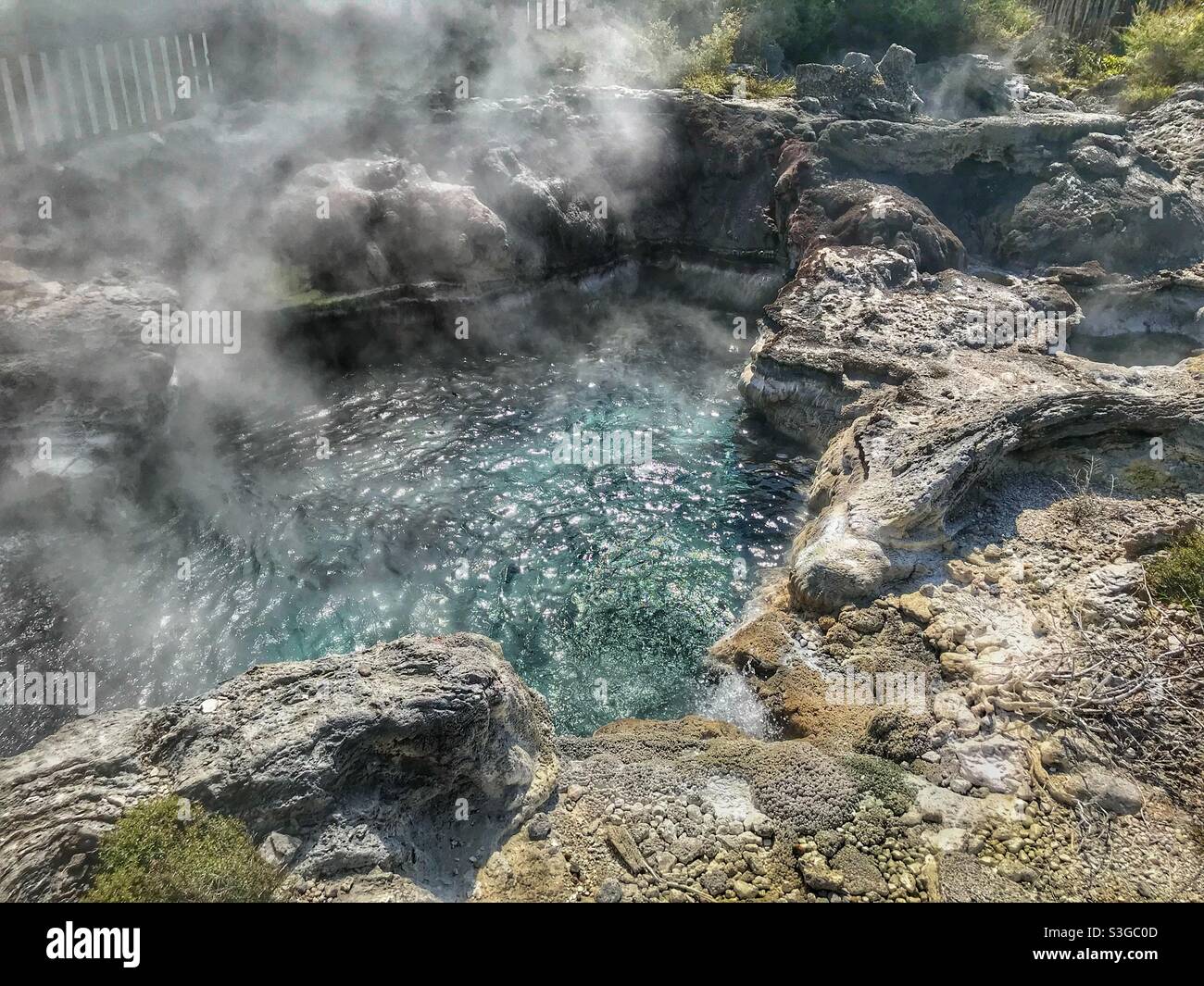 Geothermal pool in Rotorua, North Island, New Zealand Stock Photo - Alamy