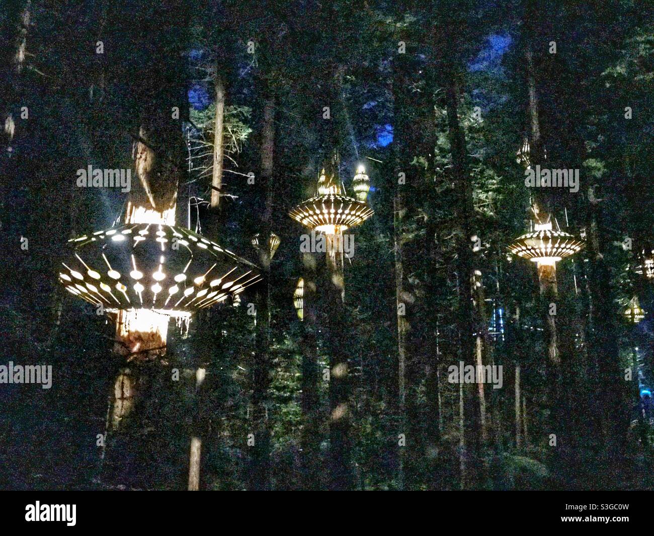 Redwoods treewalk hi-res stock photography and images - Alamy