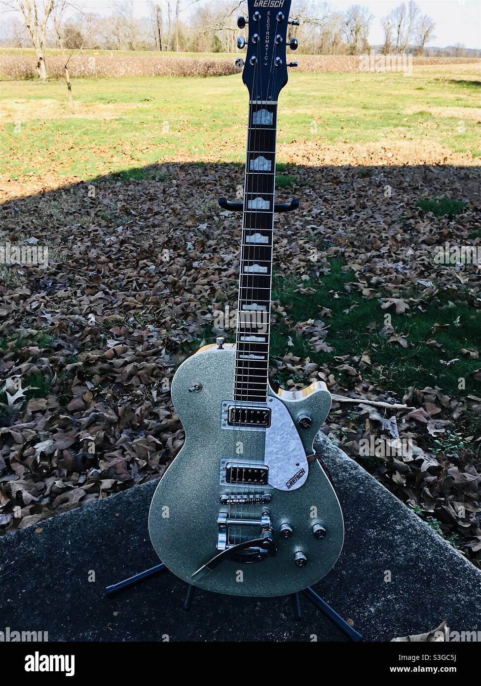 Silver Guitar High Resolution Stock Photography and Images - Alamy