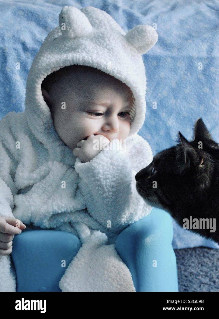 Cat and baby stare down Stock Photo - Alamy