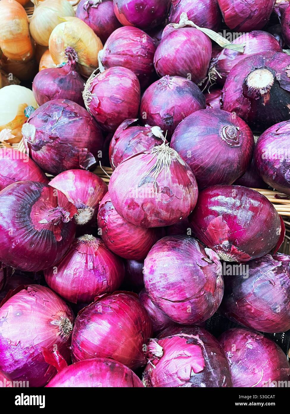 A bin of red onions in the produce aisle of the supermarket, USA Stock ...