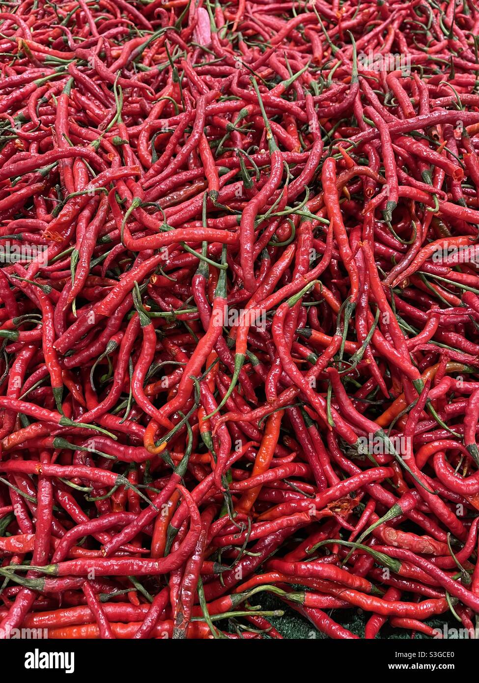 Small hot red chillies hi-res stock photography and images - Alamy